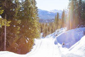 8 Photos That Make Me Wish Winter Would Never End - Heart My Backpack