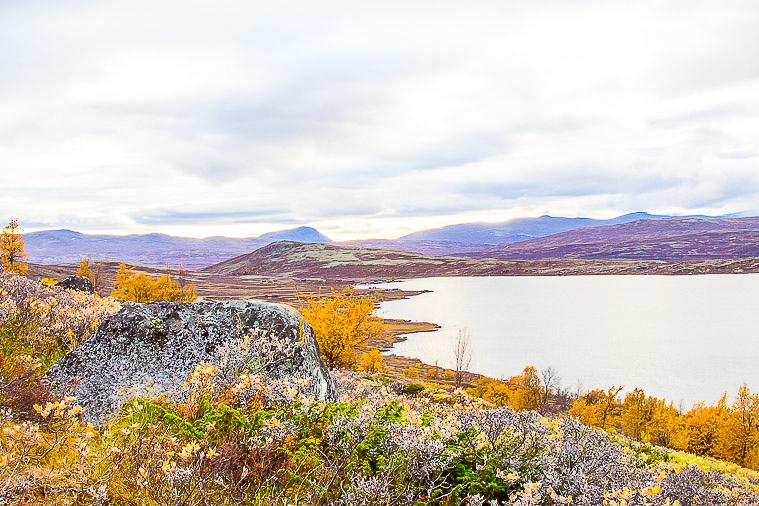 9 Reasons to Visit Norway in Autumn - Heart My Backpack