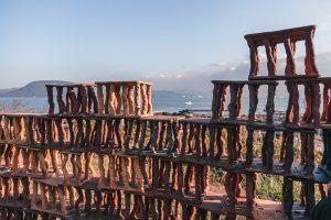 Exploring Japan's Art Islands: Teshima, Shodoshima, Megijima, & Ogijima ...