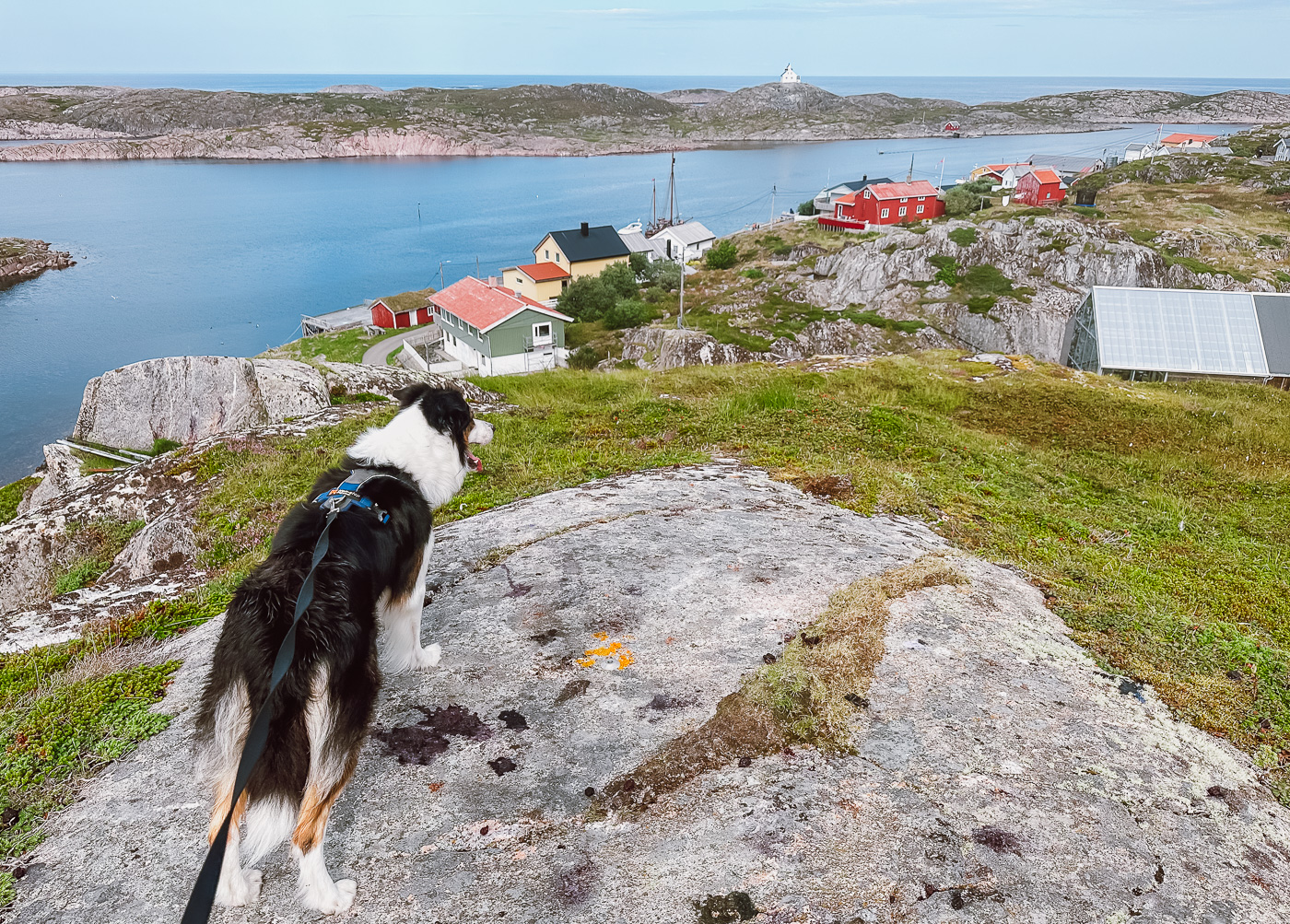 Visiting Myken, Norway's Friendliest Island - Heart My Backpack